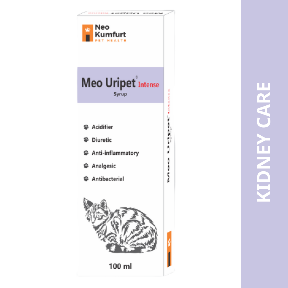 Neo Kumfurt Meo Uripet Intense Syrup for Cats (100ml) – Paw Store