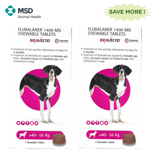 MSD Animal Health Bravecto (40-56kg) Tablet Combo (2 tablets) – Paw Store